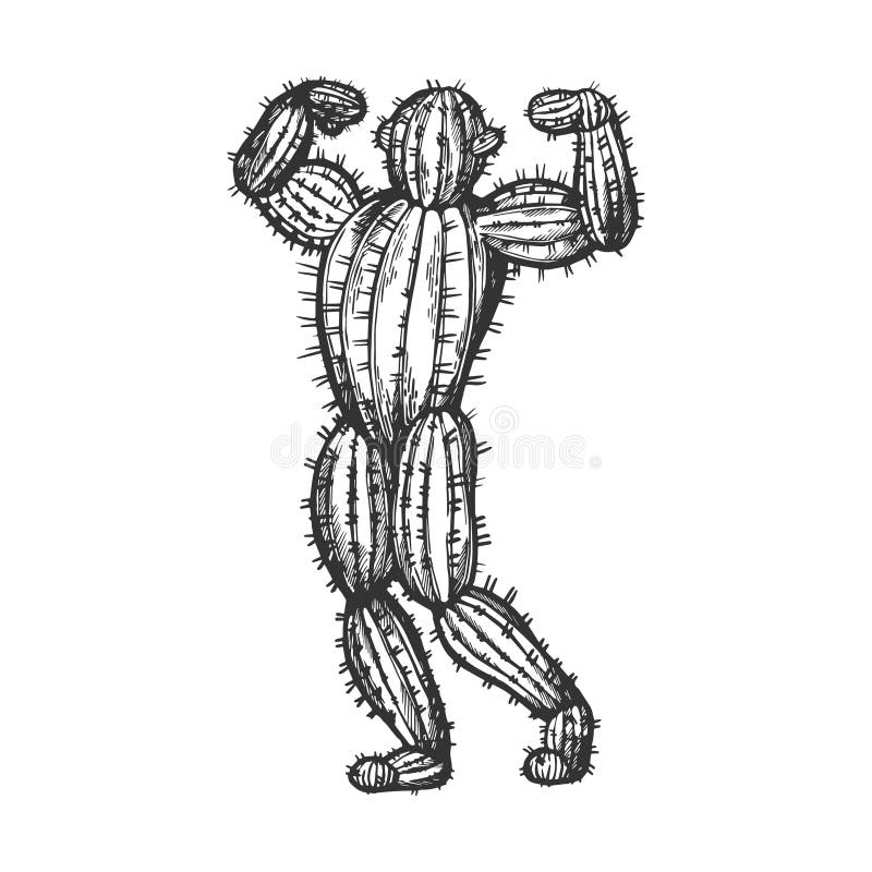 Cactus Man Posing Sketch Engraving Vector Stock Vector - Illustration ...