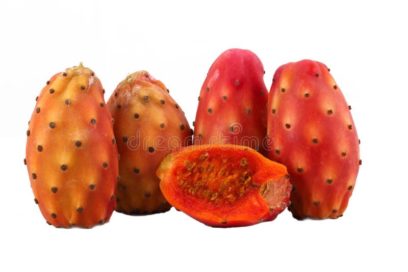 Cactus or Nopal on the White Background Stock Image - Image of fruit ...