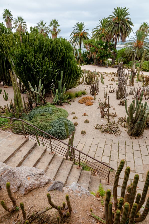 Cactus Park at Montjuic Hill at Barcelona Stock Image - Image of cactus ...