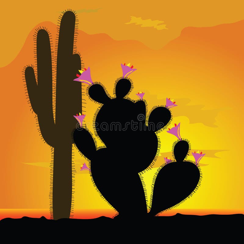 Cactus with pink flower stock vector. Illustration of travel - 45231253