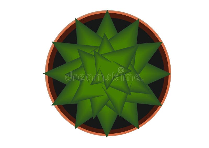 Cactus in a Pot, Vector Illustration. Top View. Stock Illustration ...
