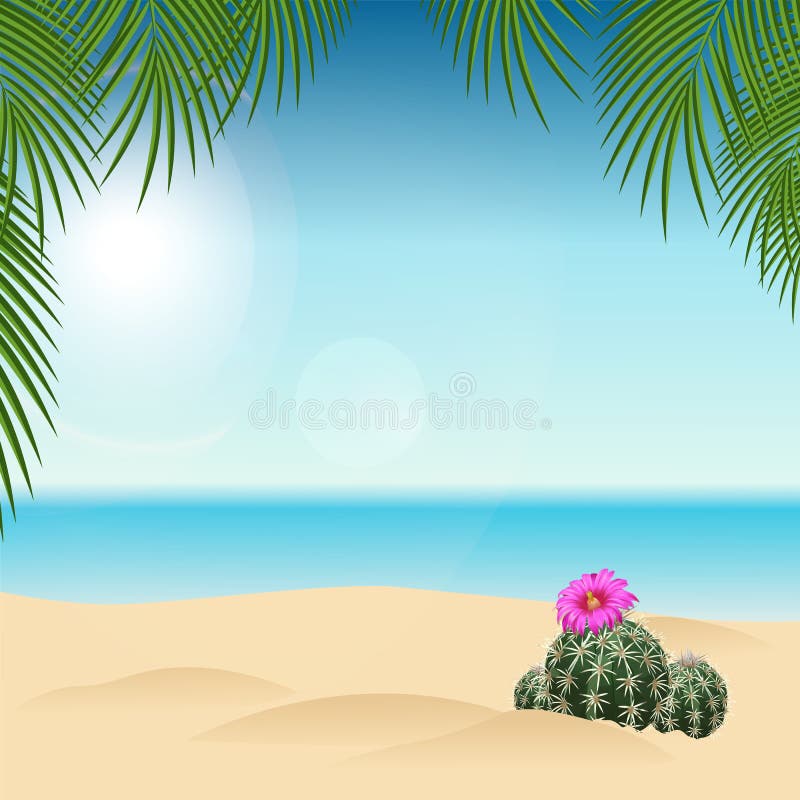Cactus on the sandy beach. stock vector. Illustration of cactus - 132006927