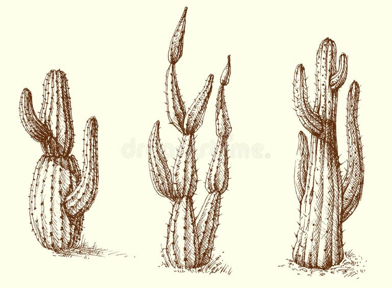 Spiky Drawing Stock Illustrations – 5,319 Spiky Drawing Stock ...