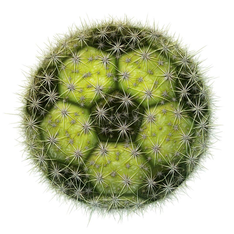 Soccer Ball Green with Cactus Needles Stock Illustration - Illustration ...