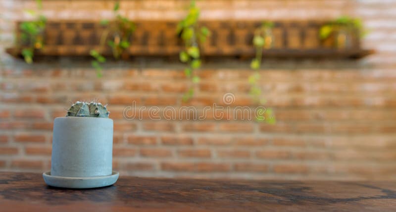 Cactus on Table with Interior Design of Vintage Brick Room Stock Photo ...