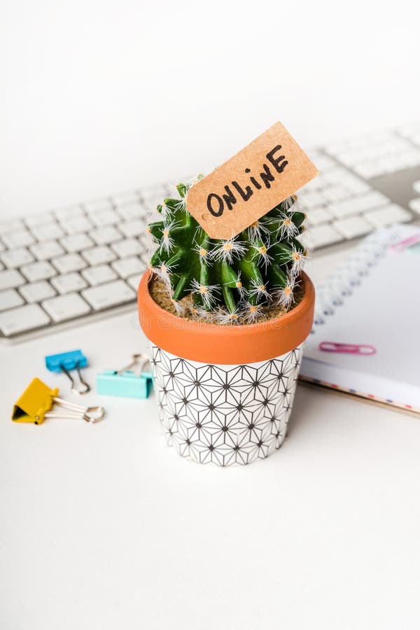 A Cactus with the Tag `Online` Stands on an Office Desk with a Keyboard ...