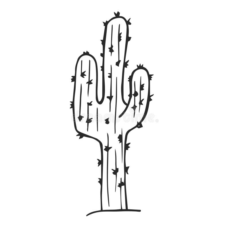 Cactus Vector Illustrations. Hand Drawn Outline Cactus Sketch Cactus ...