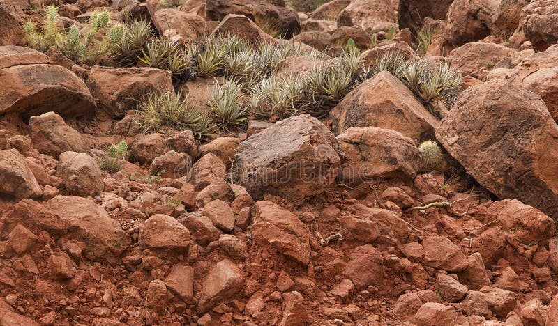 Johan Bollen (Dosdots) - Photographer profile