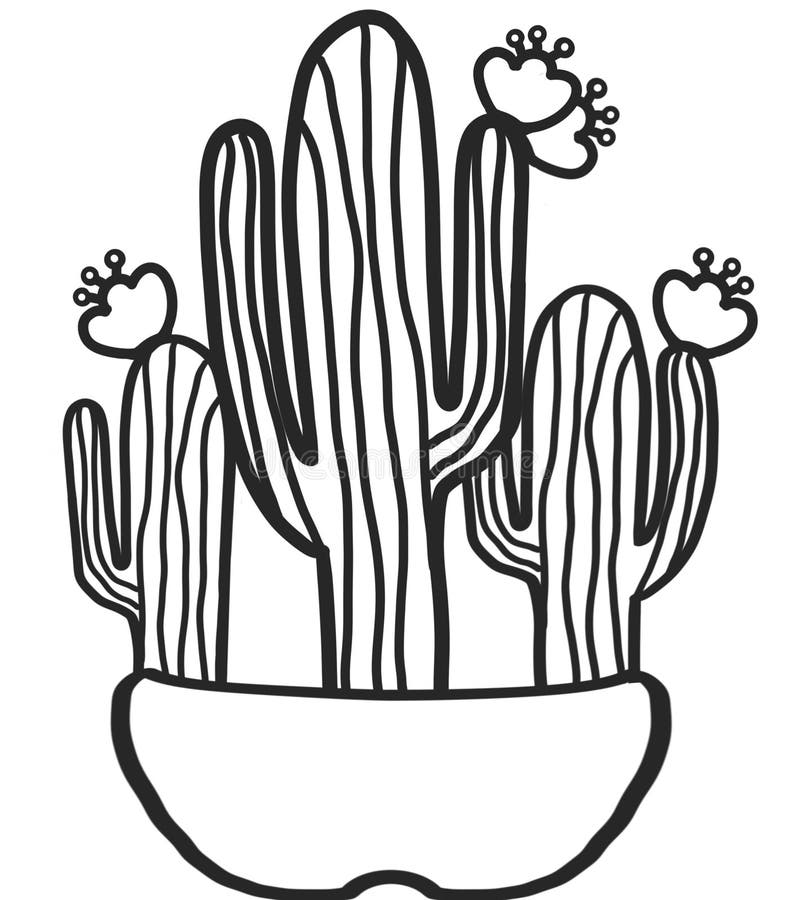 A Delicate, Hand-drawn Cactus Outline in Minimalist Style, Illustration ...