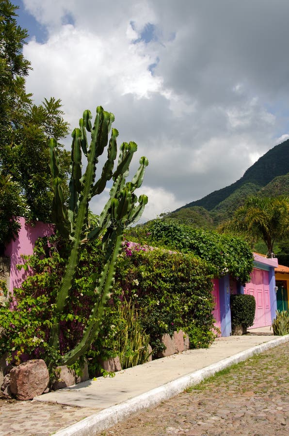 Cactussen En Kleurrijk Mexicaans Huis Stock Afbeelding - Image of roze ...