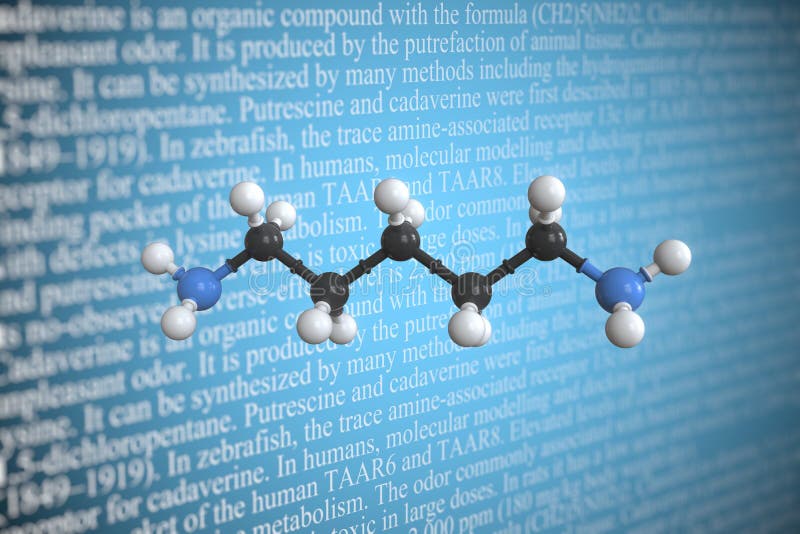 Cadaverine Scientific Molecular Model, 3D Rendering Stock Illustration ...