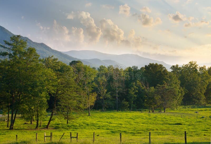 Cades Cove Spring Flowers Great Smoky Mountains Stock Image - Image of ...