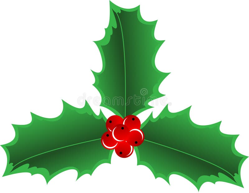 Houx illustration stock. Illustration du noël, centrale - 1064598