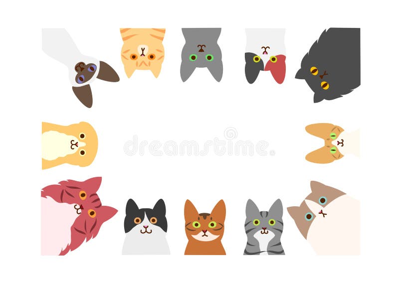 Cadre De Rectangle De Chats Illustration de Vecteur - Illustration du ...