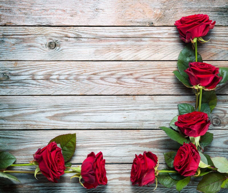 Cadre de roses rouges image stock. Image du floral, objet - 47910791