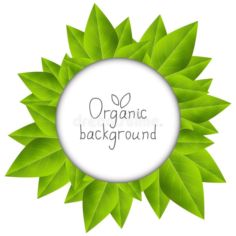 Cadre rond vert illustration de vecteur. Illustration du lumineux ...