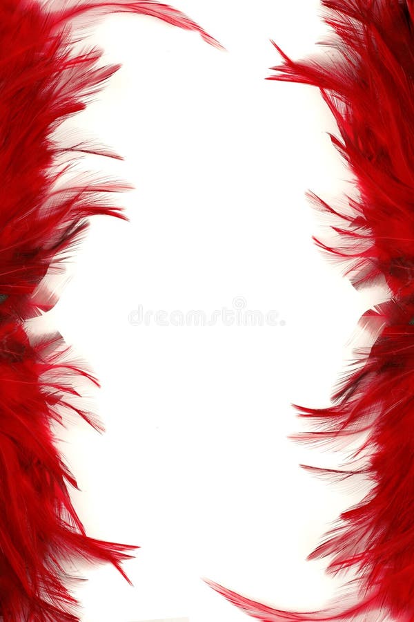 Cadres de clavette image stock. Image du douceur, doux - 1209007