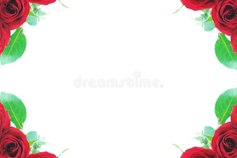 Cadres Faisants Le Coin Roses De Rouge Illustration Stock ...
