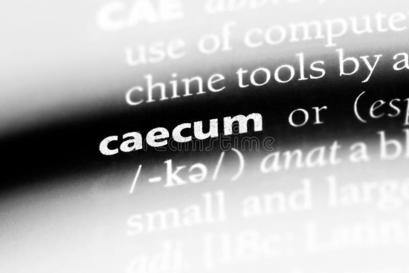 Caecum stock image. Image of printed, macro, closeup - 114407679