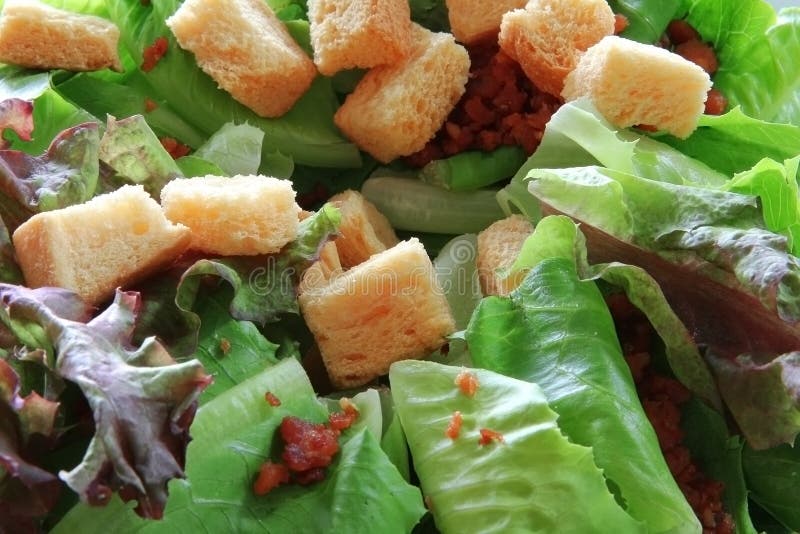 Caesar Salad stock photo. Image of lettuce, culture, parmesan - 19984570