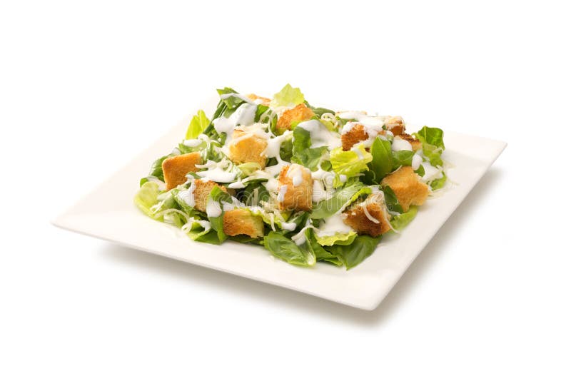 Caesar Salad in a White Plate Stock Photo - Image of salad, fresh: 40005554