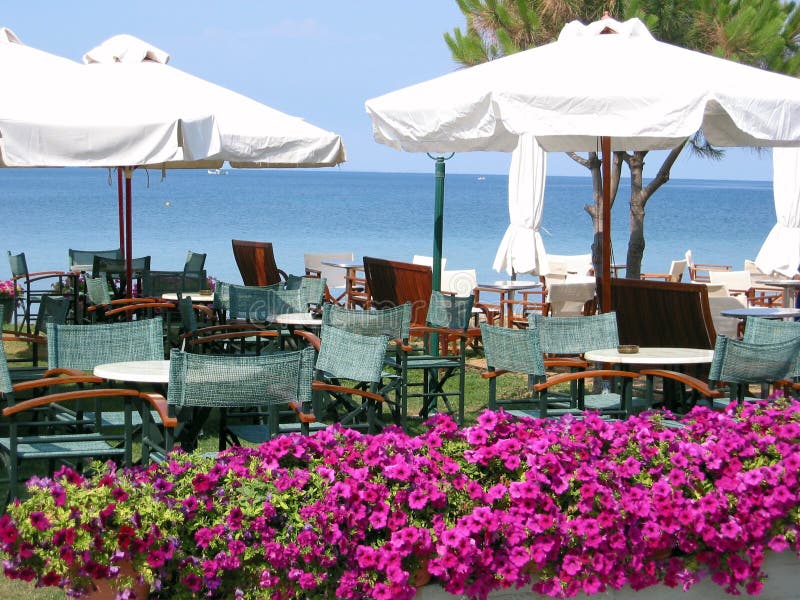 Café à la plage photo stock. Image du plage, fleurs, soleil - 519800