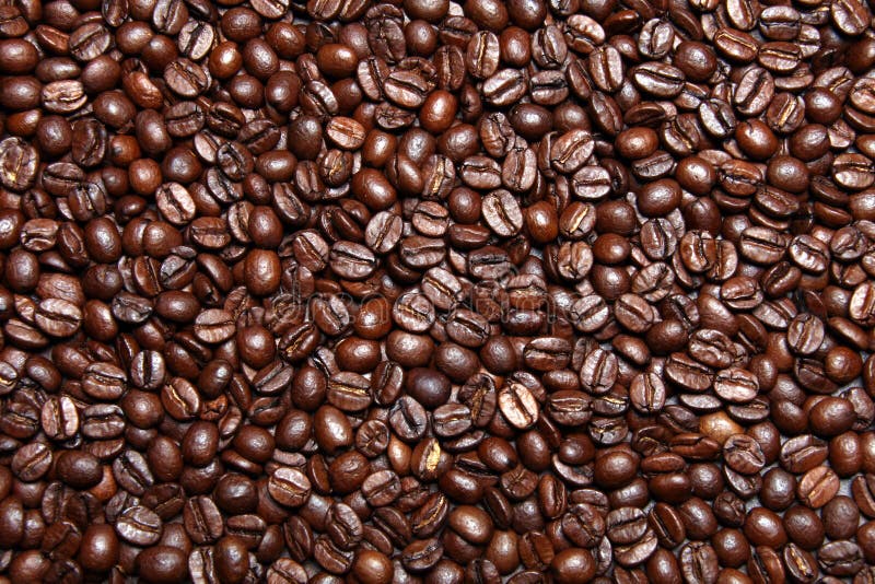 Café foto de archivo. Imagen de desayuno, haba, porcelana - 15618864