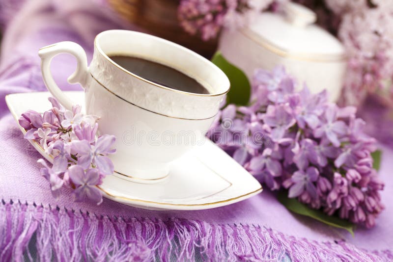 Café et lilas photo stock. Image du page, porcelaine - 20377228