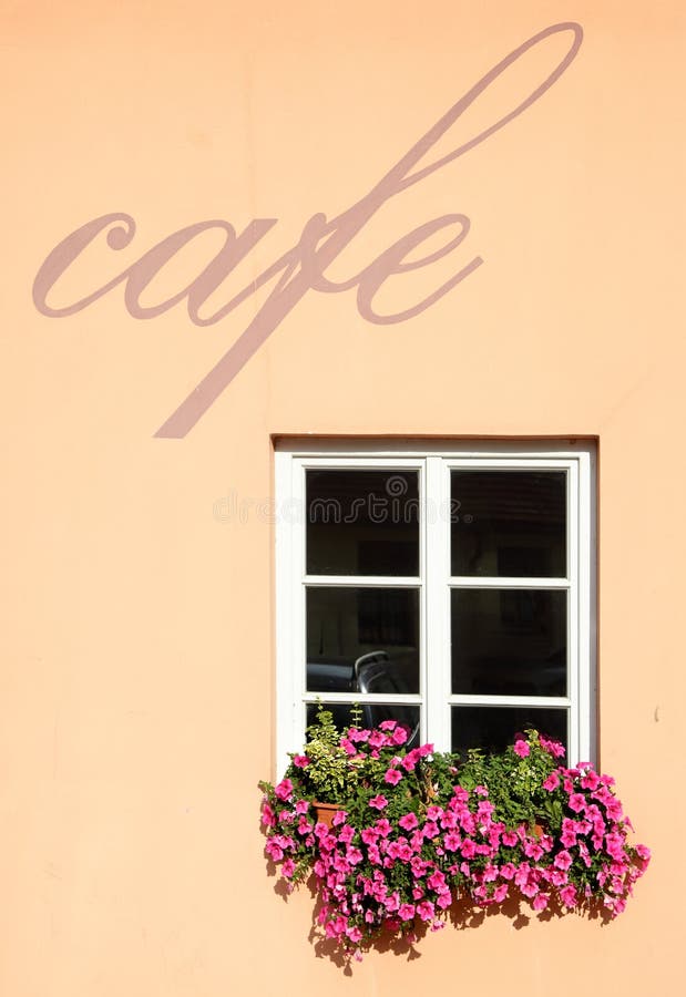 Czech Word Flower Stock Photos - Free & Royalty-Free Stock Photos from ...