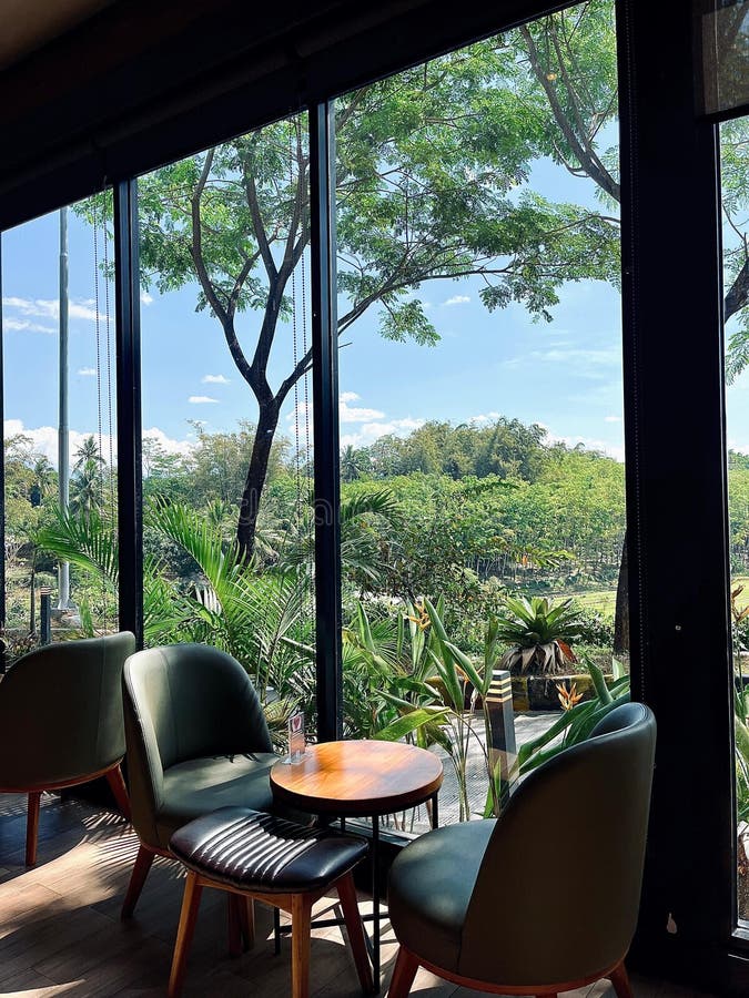 Green Scenery Inside the Cafe Stock Image - Image of view, inside ...