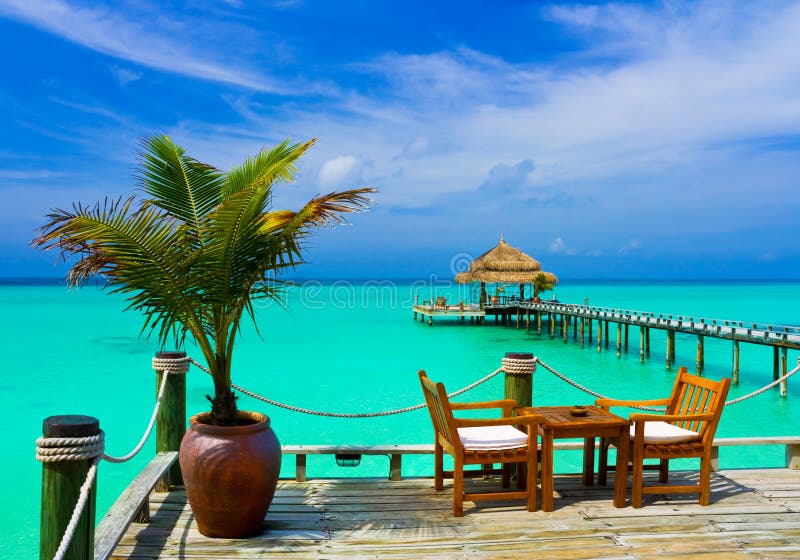 Cafe on the beach stock image. Image of palm, dining - 22211619