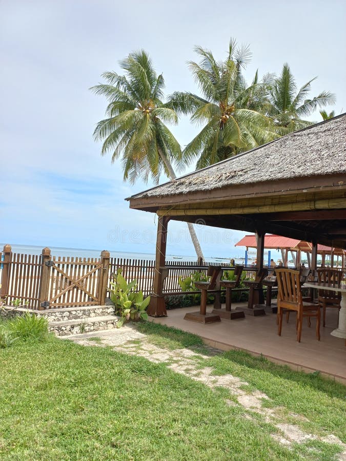 A Cafe on the Beach with Lots of Grass Stock Photo - Image of ...