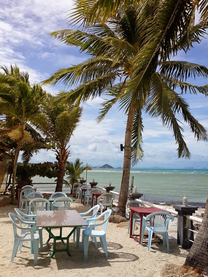 Cafe on the Beach with Palm Trees. Stock Image - Image of sand, dining ...