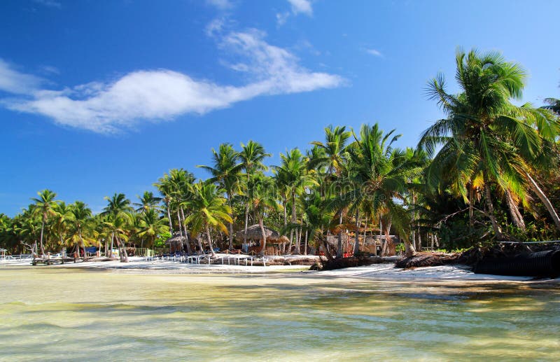 Cafe on Caribbean Sea Beach Stock Image - Image of lagoon, sand: 20228539