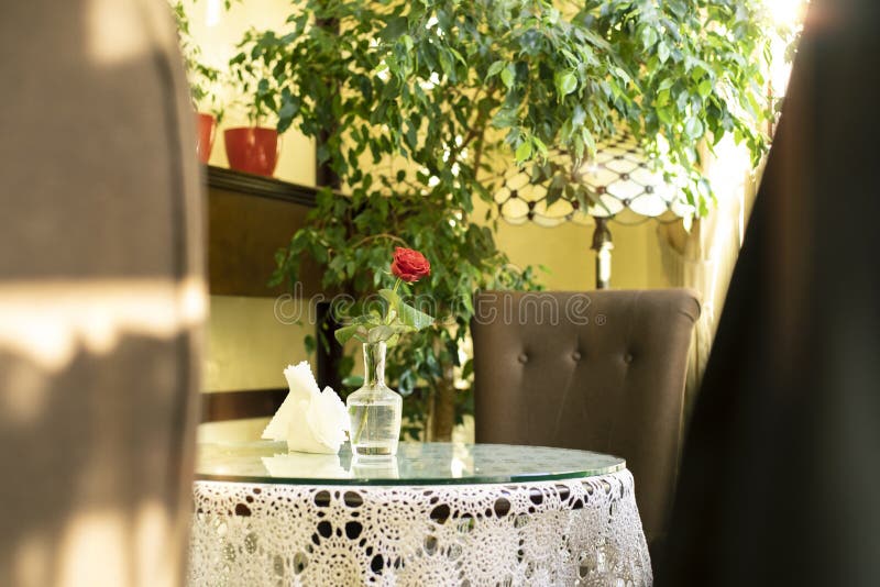 Cafe Interior Room Rose Flower Vase on Table and Frame Work Foreground ...