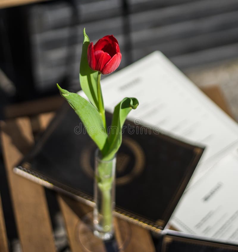 Cafe Restaurant Table with Red Tulip Stock Image - Image of lunch ...