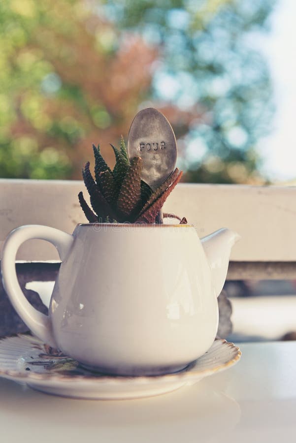 Cafe table number stock image. Image of teapot, vase - 39824571