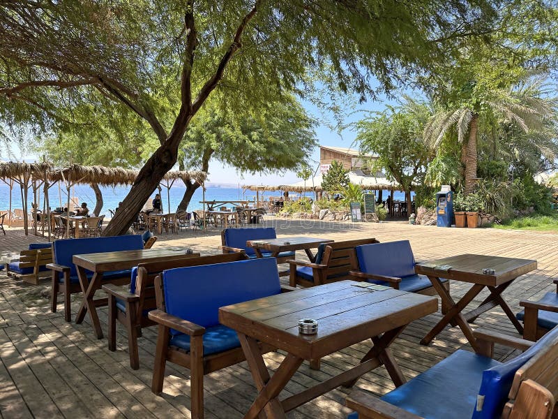 Cafe Tables Under the Trees on Dekel Beach Stock Image - Image of ...