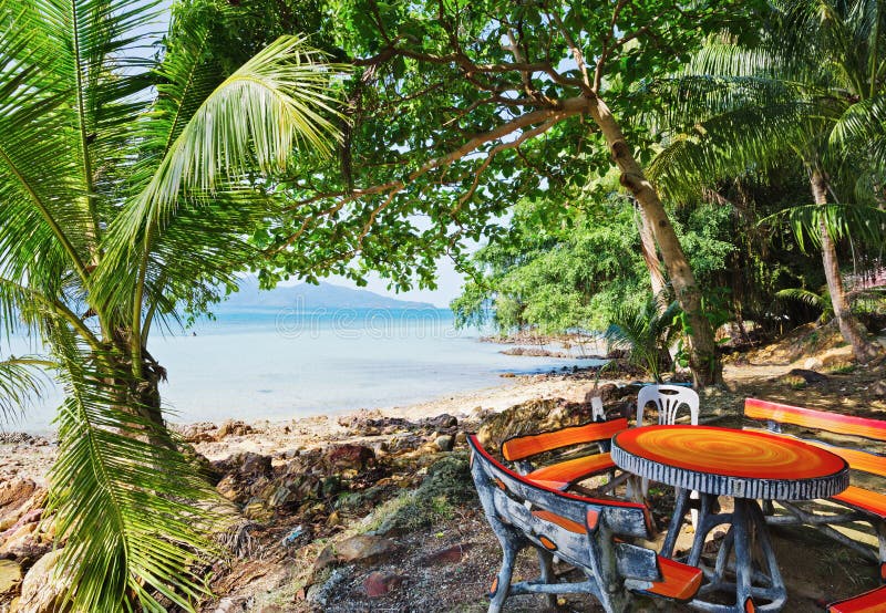 Cafe Tropical Beach Sunset Stock Images - Download 1,410 Royalty Free ...