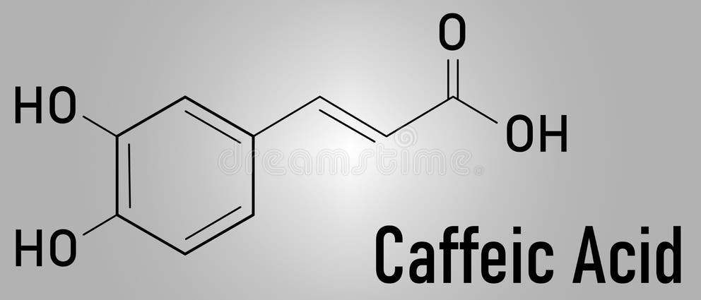 Caffeic Acid Molecule Skeletal Formula. Intermediate in the ...