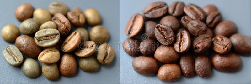 Caffeinated and Decaf Coffee Beans Comparison Highlighting Their ...