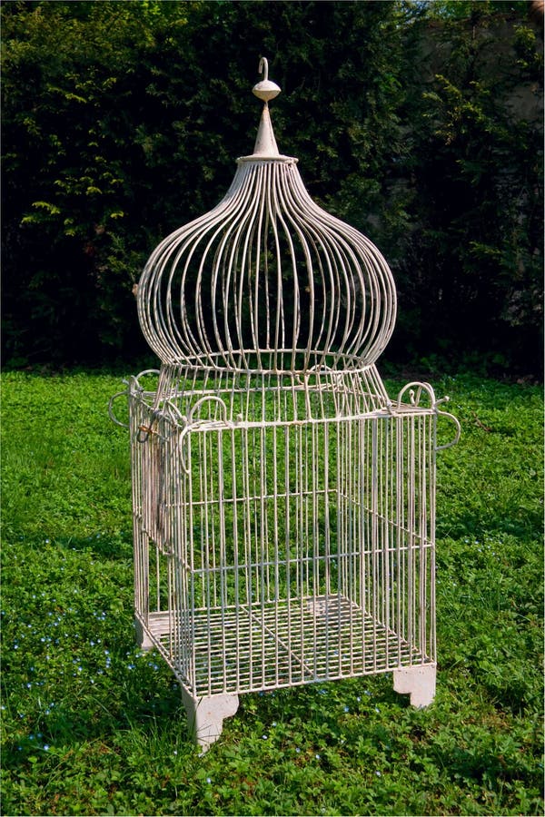 Open Bird Cage stock photo. Image of cell, enclose, detainee - 5123568