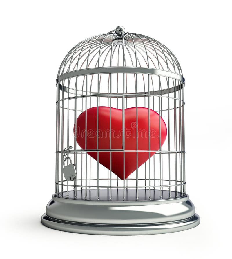 Heart in a cage stock illustration. Illustration of beautiful - 17984272
