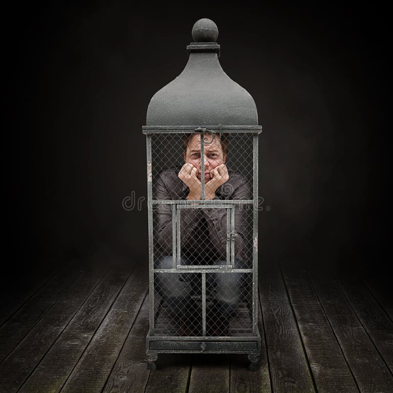Cage stock photo. Image of apartment, oppression, living - 50103042