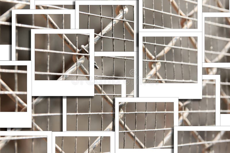 Cage net instant photo stock photo. Image of vintage - 91185594