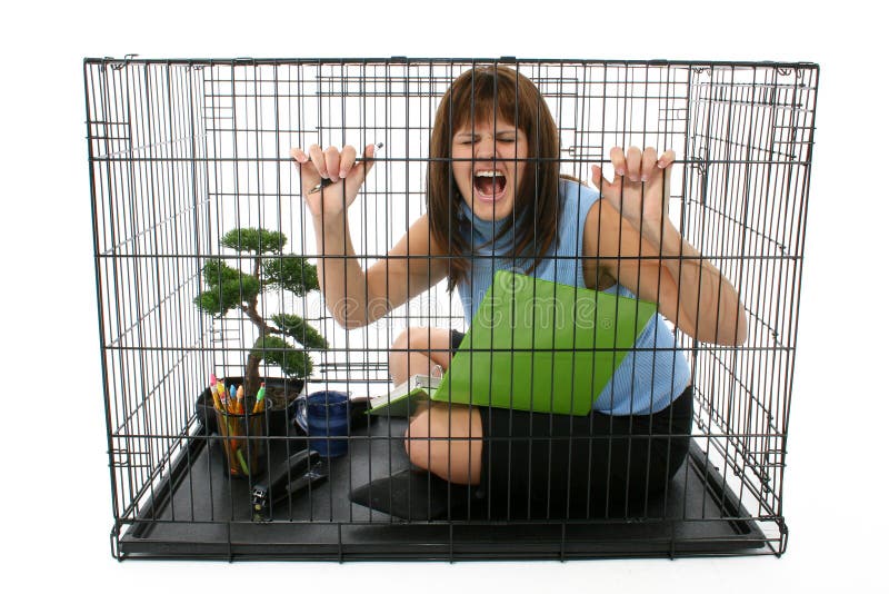 Caged stock photo. Image of internet, laptop, angry, screaming - 1688038