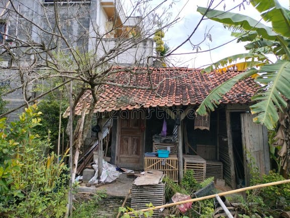 Cages in abandoned house stock image. Image of cages - 263449609