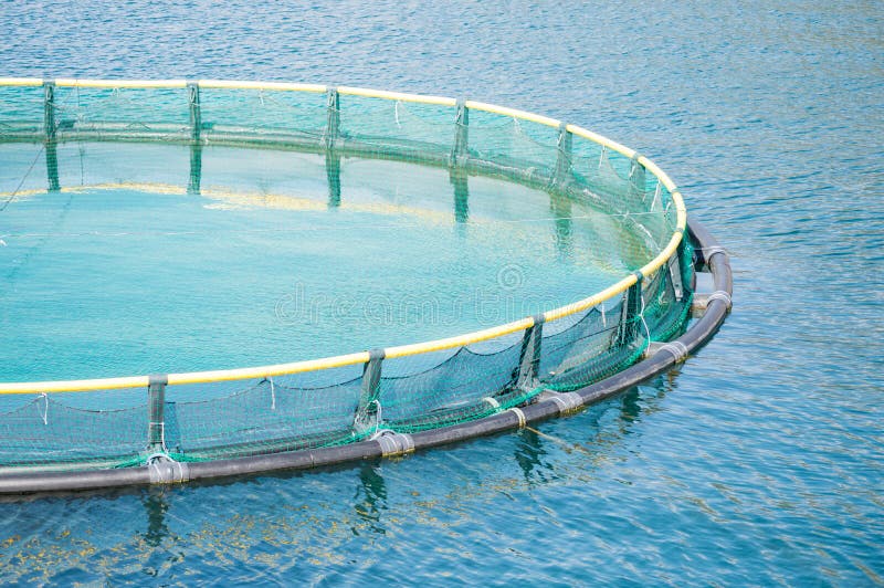 Cages for fish farming stock photo. Image of nature, environment - 68500282