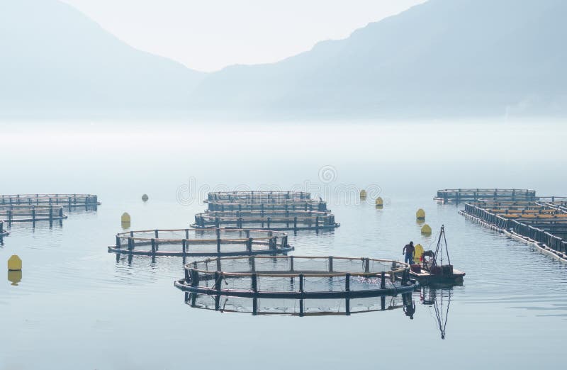 Cages for fish farming stock photo. Image of fresh, pool - 68501092