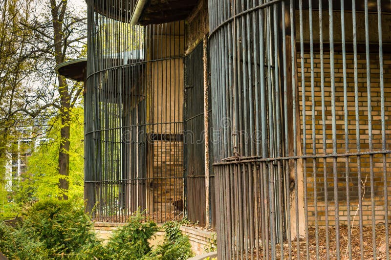 261 Trees Cages Stock Photos - Free & Royalty-Free Stock Photos from ...